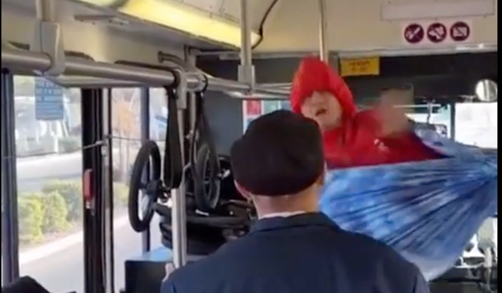 The Truth Behind the Viral Hammock on a Bus Video – Hamuhk